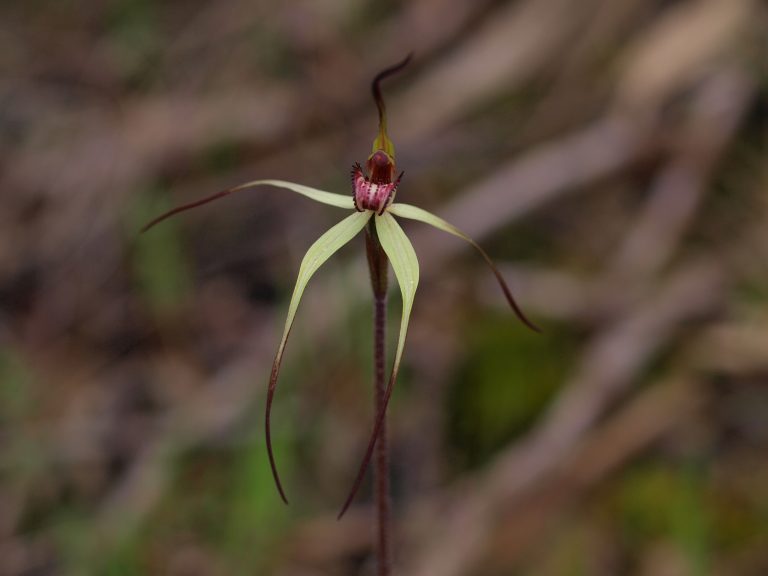 Chewton – The place we call home